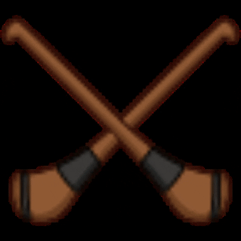 Hurling Ireland GIFs - Find & Share on GIPHY