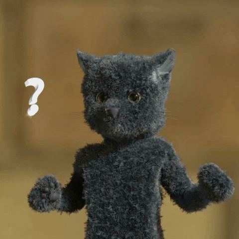 Who Knows Reaction GIF - Find & Share on GIPHY