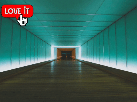 Penetration Testing GIFs - Get the best GIF on GIPHY