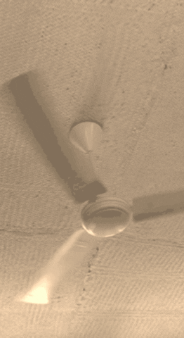 Ventilateur GIFs - Get the best GIF on GIPHY