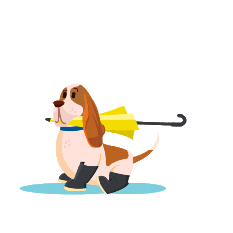 Hush Puppies Colombia GIFs on GIPHY - Be Animated