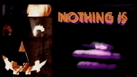 Nothing Is Safe GIFs - Get the best GIF on GIPHY