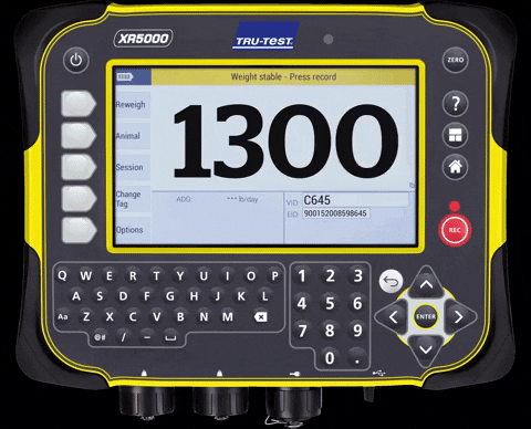 Weighing Scales GIFs - Get the best GIF on GIPHY