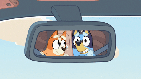 Rearview-mirror GIFs - Get the best GIF on GIPHY