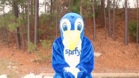 Get Spiffy, Inc. GIF - Find & Share on GIPHY