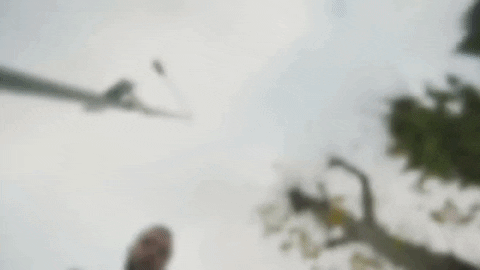 White Lies GIFs - Get the best GIF on GIPHY