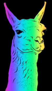 Llama Stare Gif