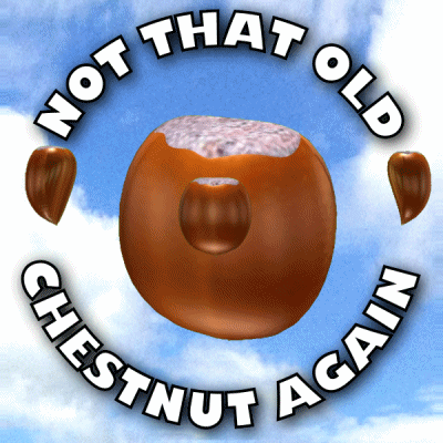 Not Funny Chestnuts GIF - Find & Share on GIPHY