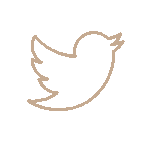 Twitter Logo Transparent Background Gif