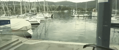 Rwb GIFs - Get the best GIF on GIPHY