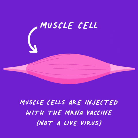 Virus Muscle GIF by Art and Fact - Find & Share on GIPHY