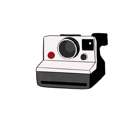 Polaroid Sticker for iOS & Android | GIPHY
