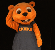 OBI bober GIFs on GIPHY - Be Animated