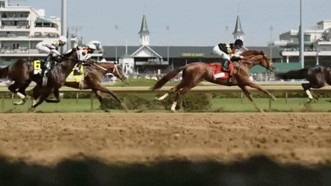 Horse Race GIFs - Find & Share on GIPHY