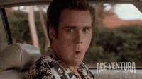 Ace Ventura Alrighty Then Gif