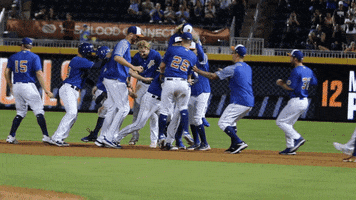 Durham Bulls GIFs on GIPHY - Be Animated