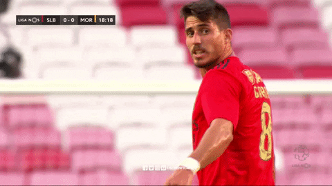 Gabriel Appelt Pires GIFs - Get the best GIF on GIPHY