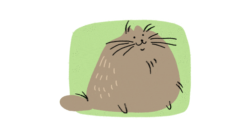 Flūi Vet Spa GIFs on GIPHY - Be Animated