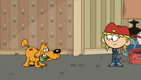 Dog Catch Fail Gif