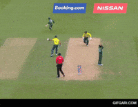 Cricket Gif