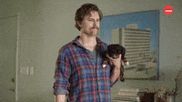 Welcome-home-dog GIFs - Get the best GIF on GIPHY