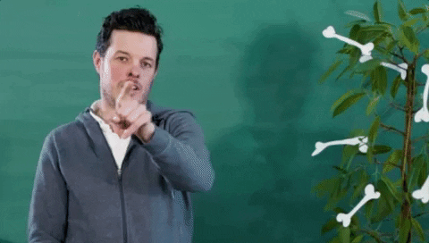 Finger Pointing GIF by BNNVARA - Find & Share on GIPHY