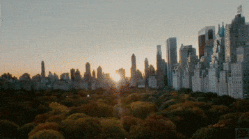 New York GIFs - Find & Share on GIPHY