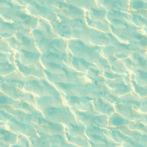 12PM_underwear GIFs on GIPHY - Be Animated