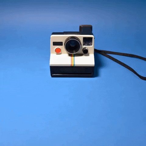 Stop Motion Polaroid GIF by Evan Hilton - Find & Share on GIPHY