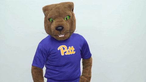 ROC The Panther by Pitt Panthers | GIPHY