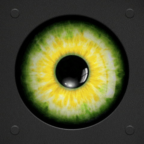 Oog GIFs - Get the best GIF on GIPHY