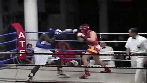 Martial Arts Boxing GIF by Casol - Find & Share on GIPHY