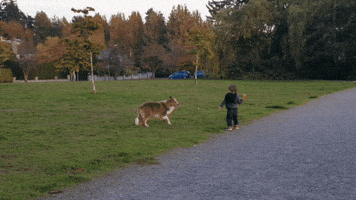 Oh The Irony GIFs - Find & Share on GIPHY