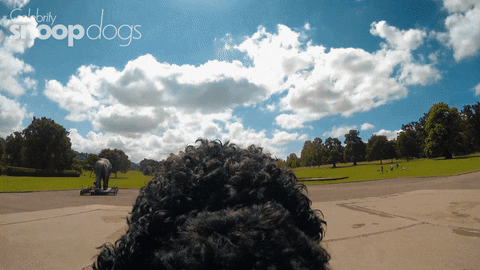 Channel 4 Dogs GIF by Stellify Media - Find & Share on GIPHY