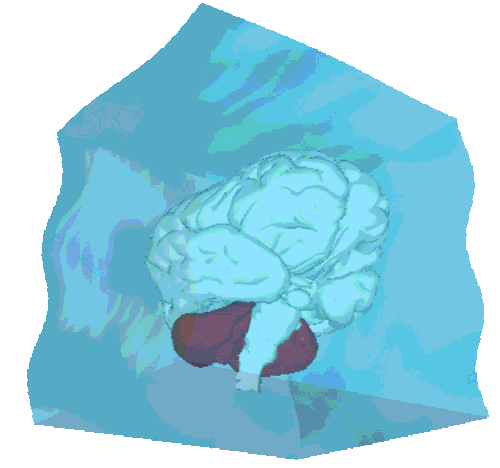 Cold Brain Freeze Sticker by badblueprints for iOS & Android | GIPHY