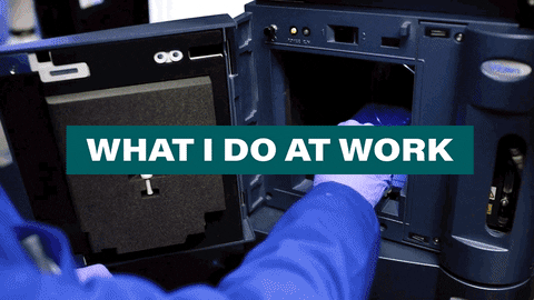 Fighting Food Waste GIFs - Find & Share on GIPHY