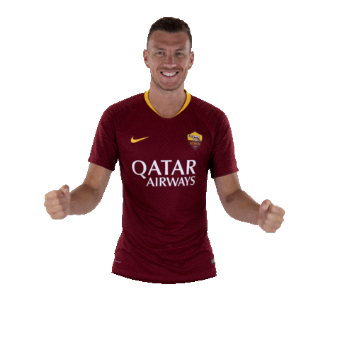 Edin Dzeko GIFs on GIPHY - Be Animated