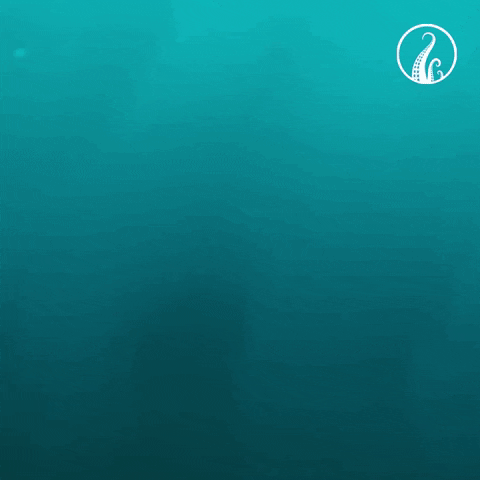 Nekton GIFs - Get the best GIF on GIPHY