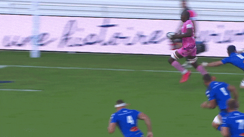 Stade Francais Paris GIFs - Get the best GIF on GIPHY