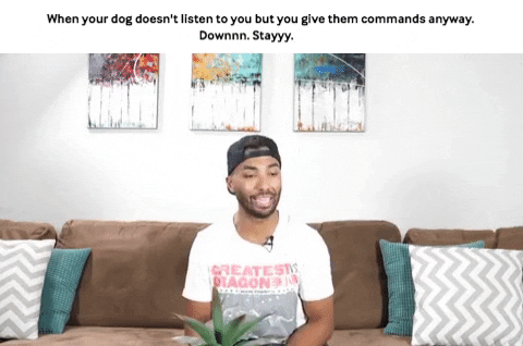 Dog Owners Be Like GIFs - Get the best GIF on GIPHY