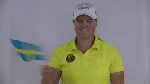Swede GIFs - Get the best GIF on GIPHY
