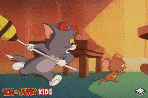 Gif De Tom Y Jerry Peleando Tom And Jerry GIFs | Tenor