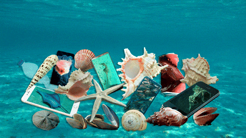 Underwater Internet GIFs - Get the best GIF on GIPHY