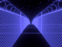 A-wire GIFs - Get the best GIF on GIPHY