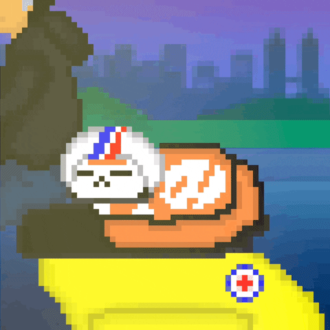 Ollie Cat GIFs - Get the best GIF on GIPHY