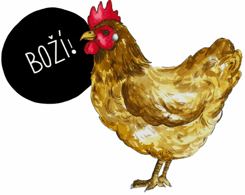 Chicken Hen GIF - Find & Share on GIPHY