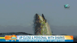 going high | Tag | PrimoGIF