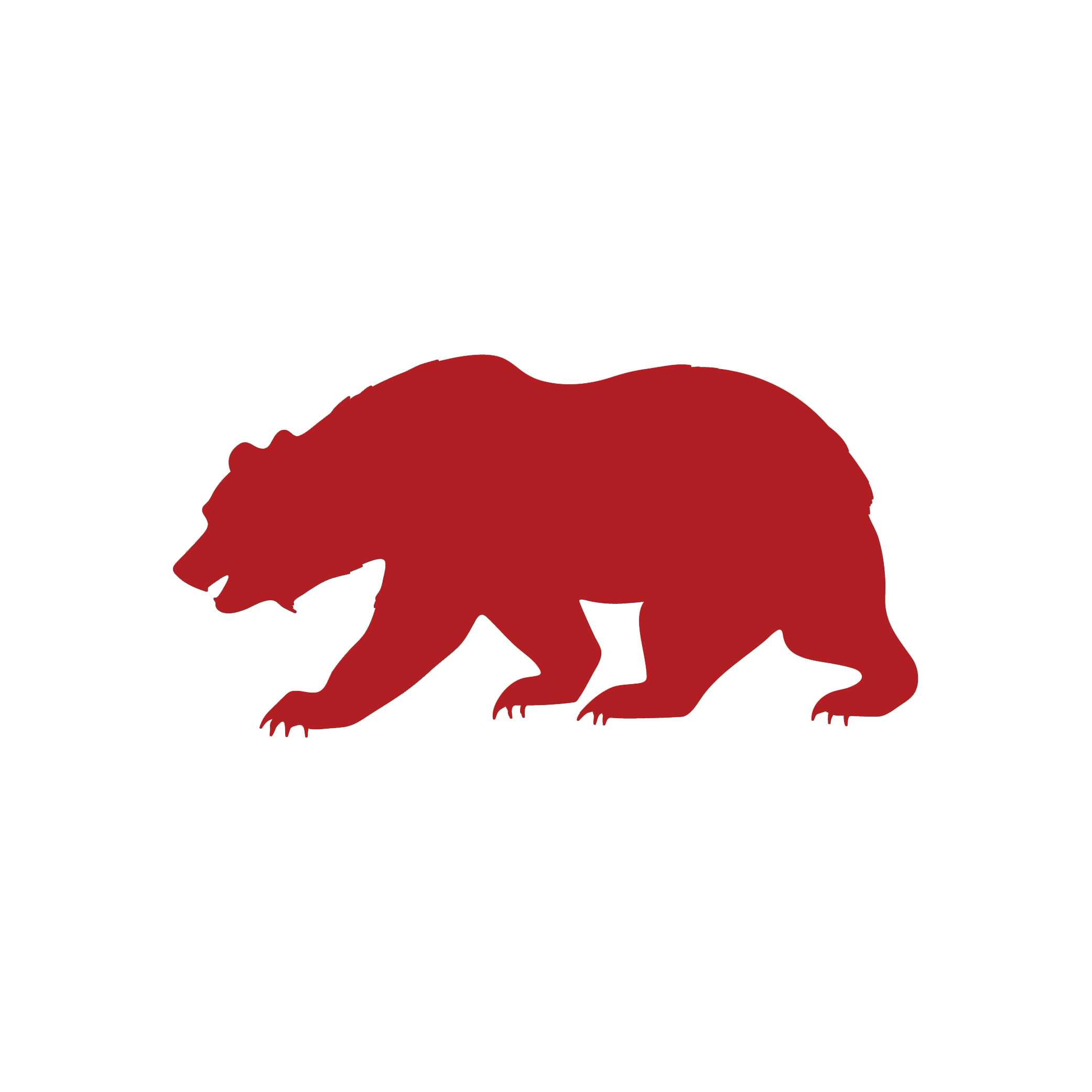 Bear Forex Sticker by Technical FX for iOS & Android | GIPHY