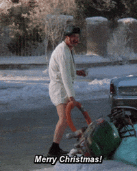 National Lampoons Vegas Vacation Cousin Eddie