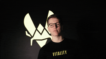 Team Vitality GIFs on GIPHY - Be Animated